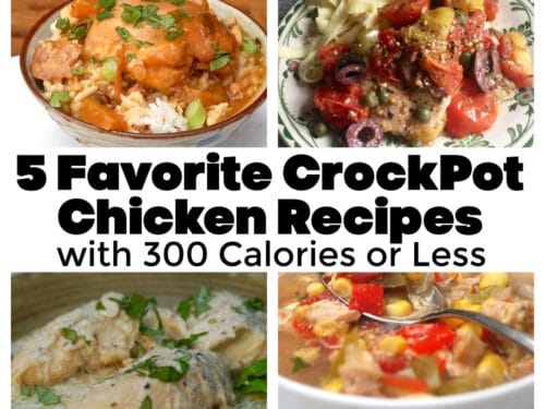 Easy healthy low calorie recipes with 350 calories or less