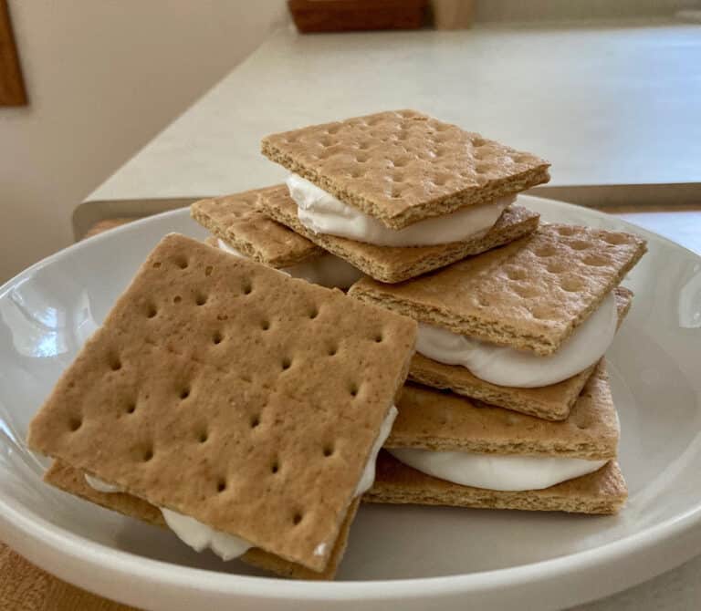 Graham Cracker Ice Cream Sandwiches | Simple Nourished Living